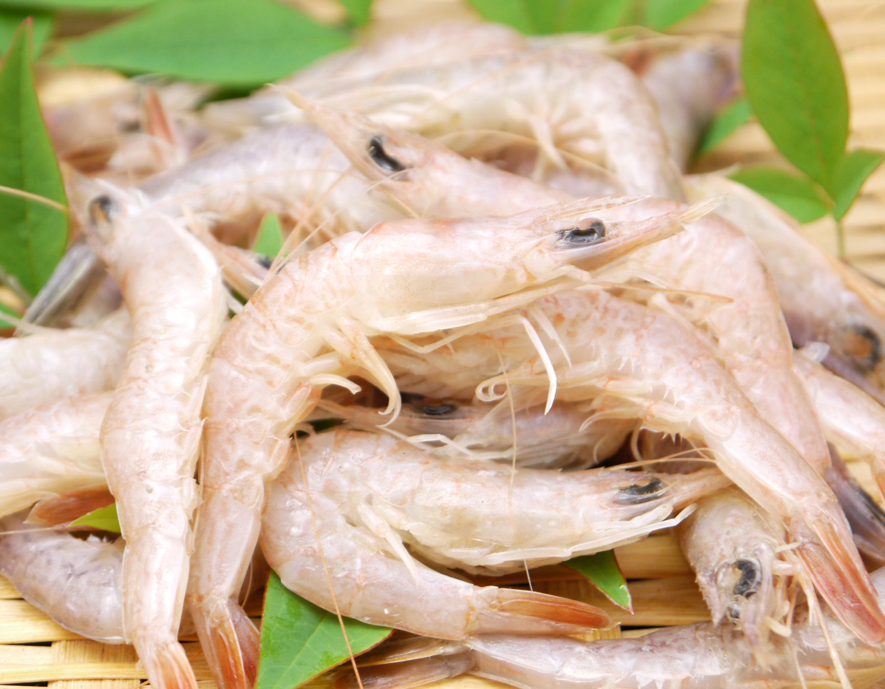 Makuya Toyoura Shoten｜The world's only manufacturing method and taste ...