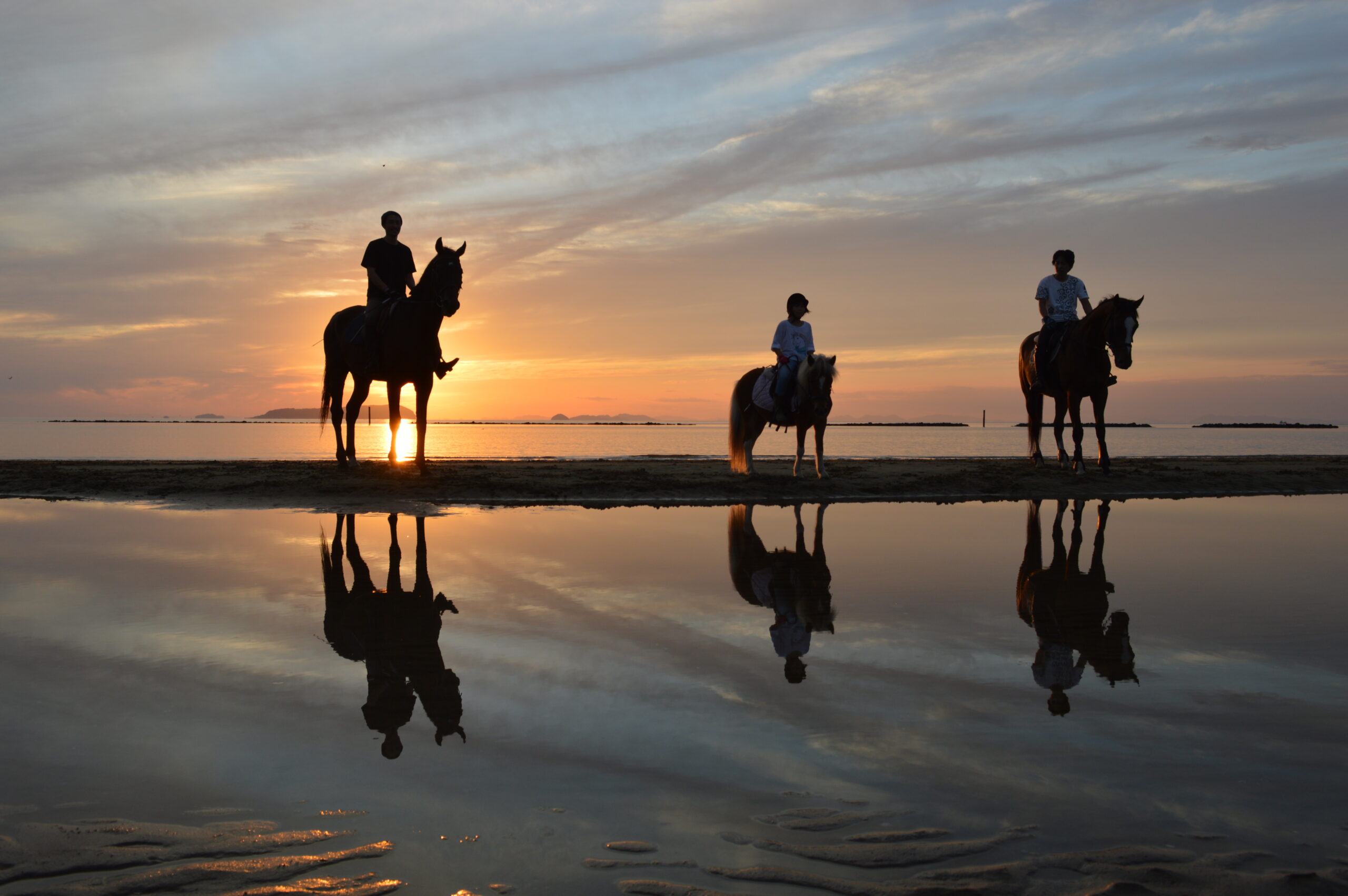 Ariakehama Horse Park｜Horseback Riding Experience in an Excellent ...